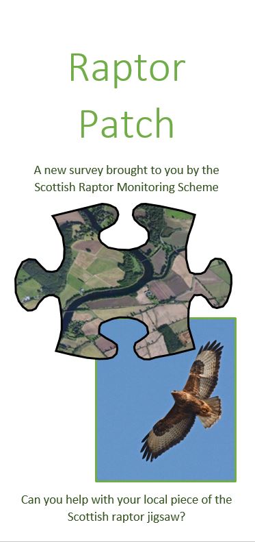 Raptor Patch | Scottish Raptor Monitoring Scheme